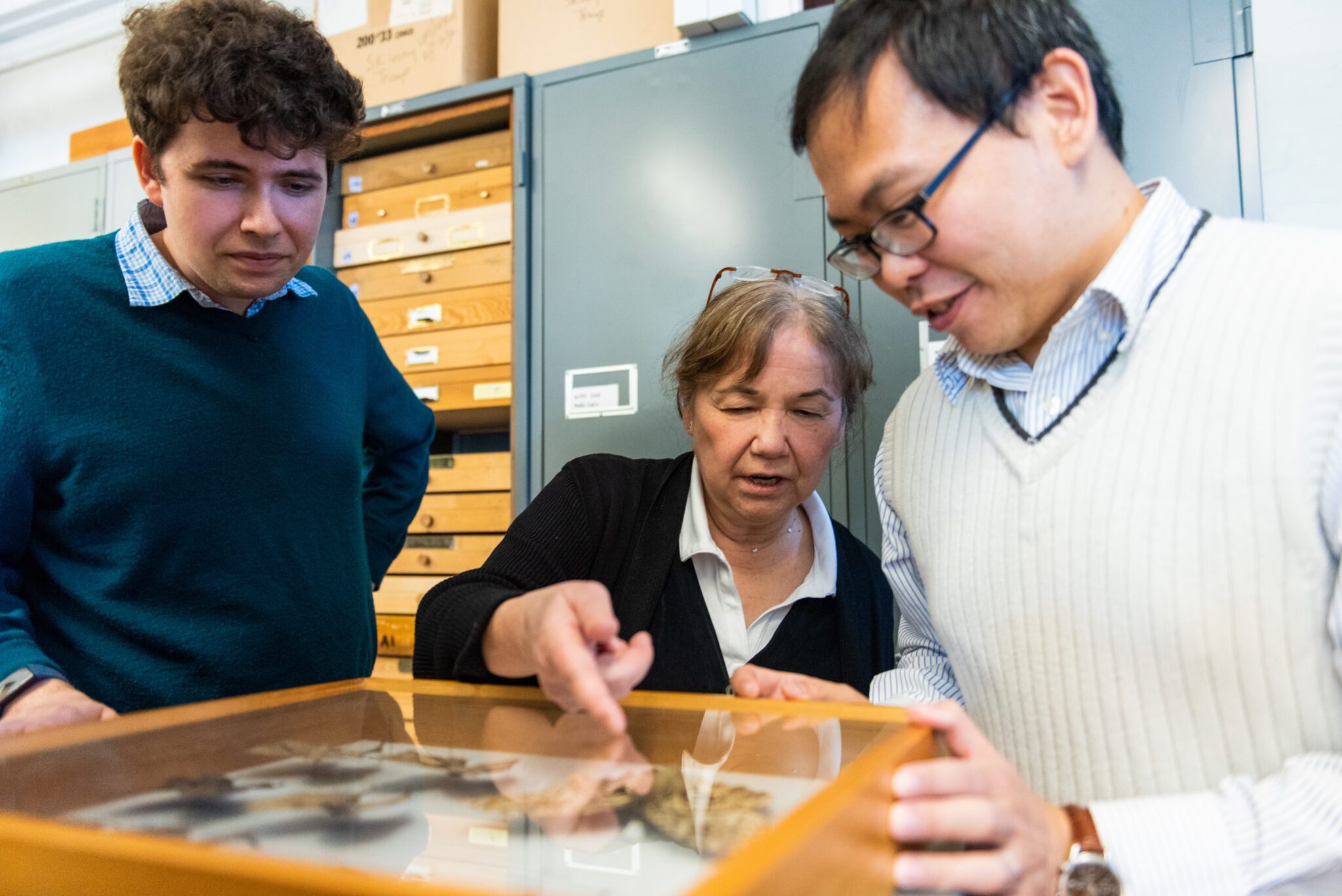 Wings and Wavelengths - The Salata Institute