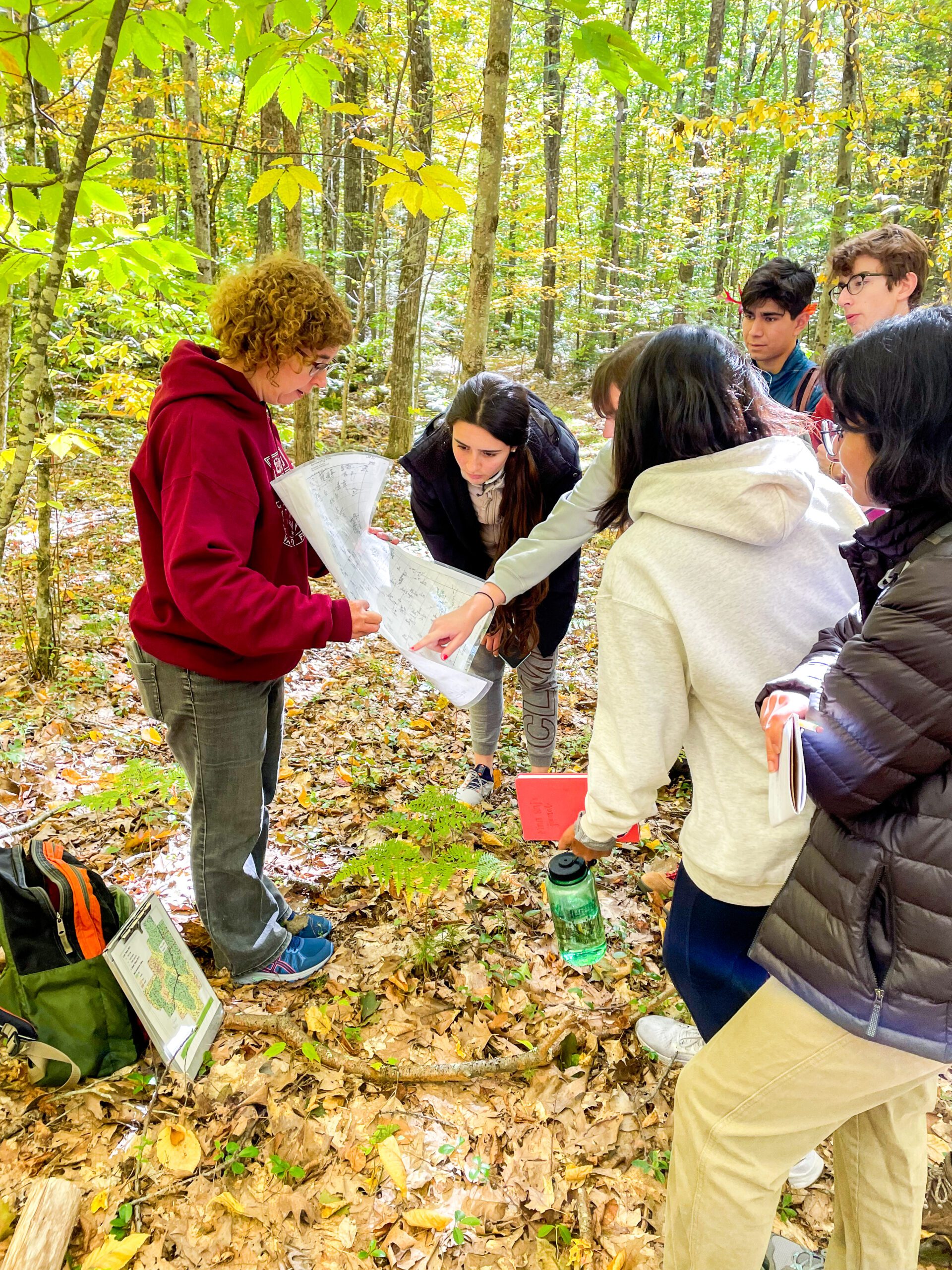 Research at the Harvard Forest—Global Change Ecology-Forests, Ecosystem ...