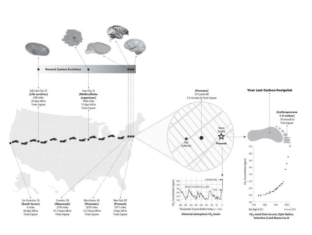 Is the Brain Relevant to Climate Change? - The Salata Institute