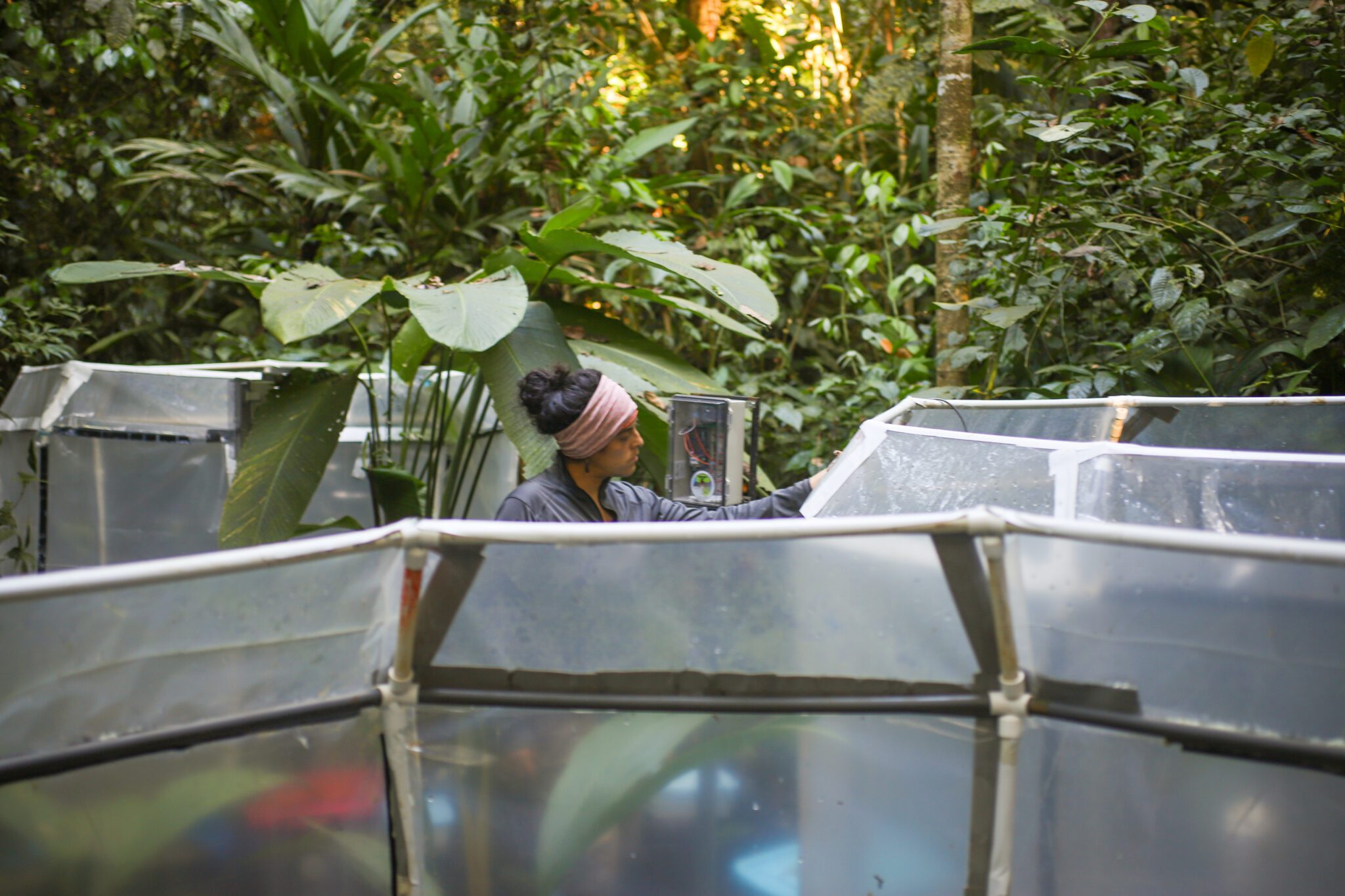 Rising CO2 and Tropical Forests - The Salata Institute