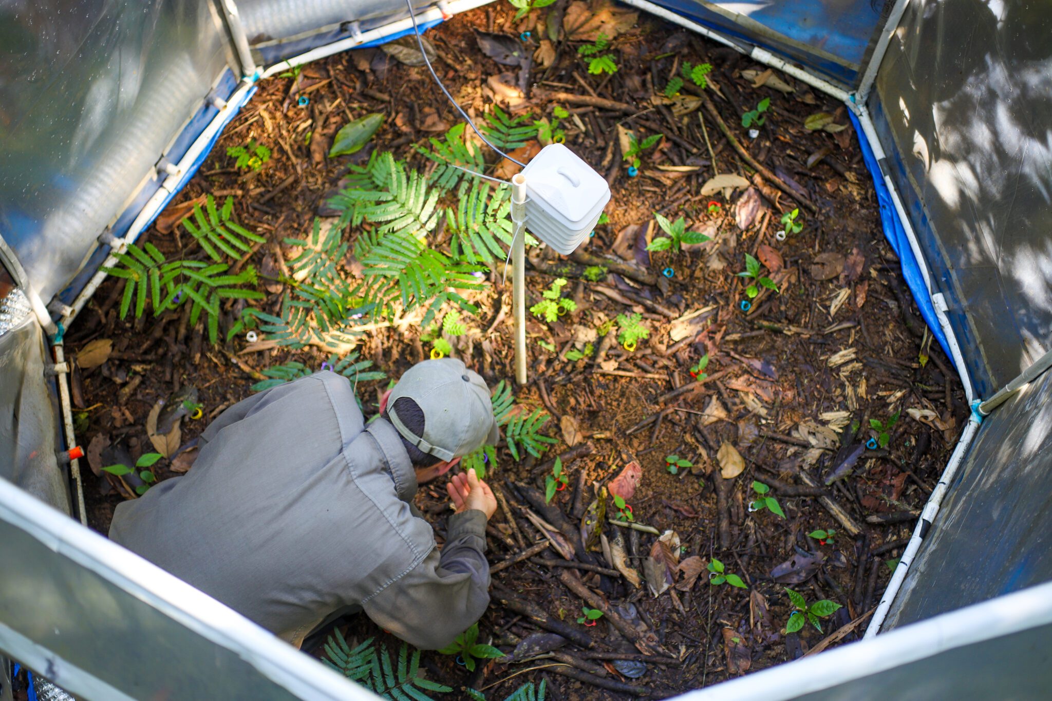 Rising CO2 and Tropical Forests - The Salata Institute