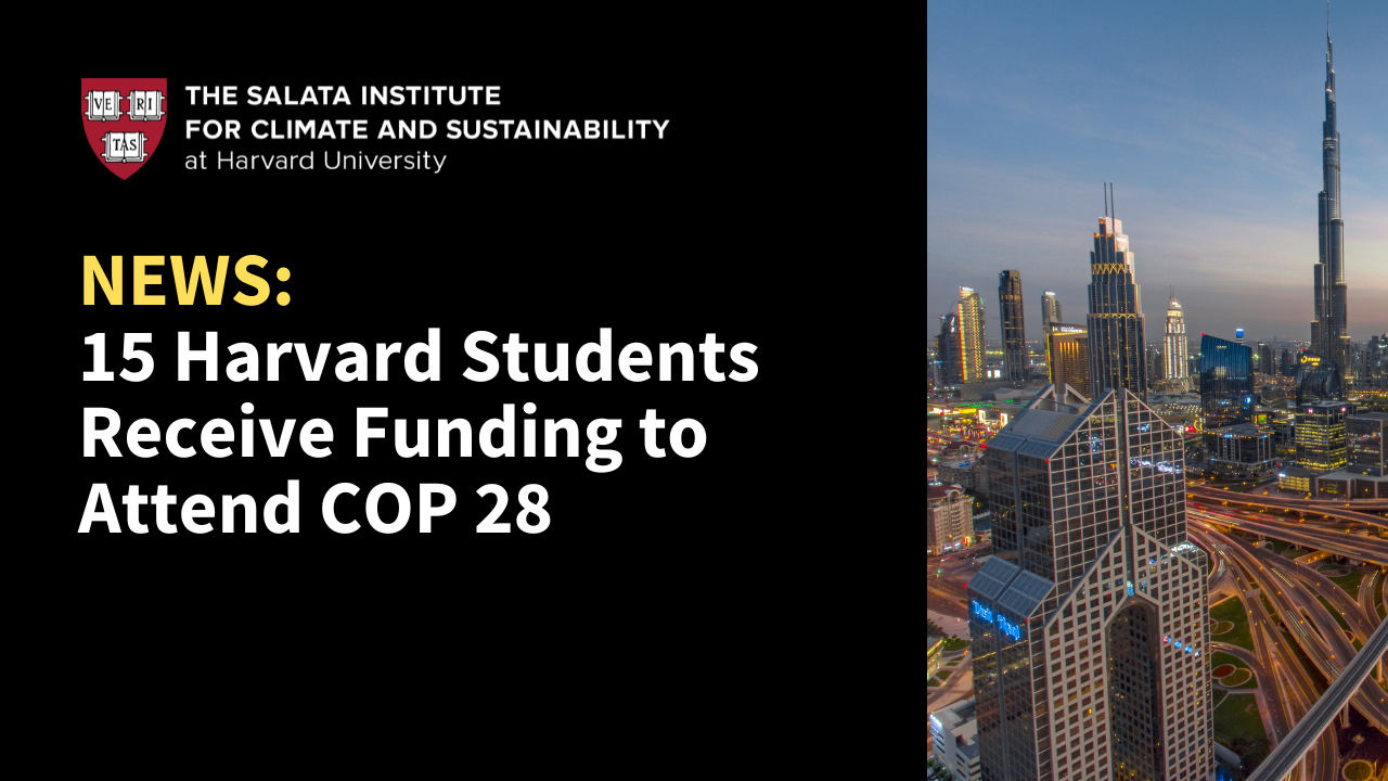 15 Harvard Students Receive Funding to Attend COP28 - The Salata Institute