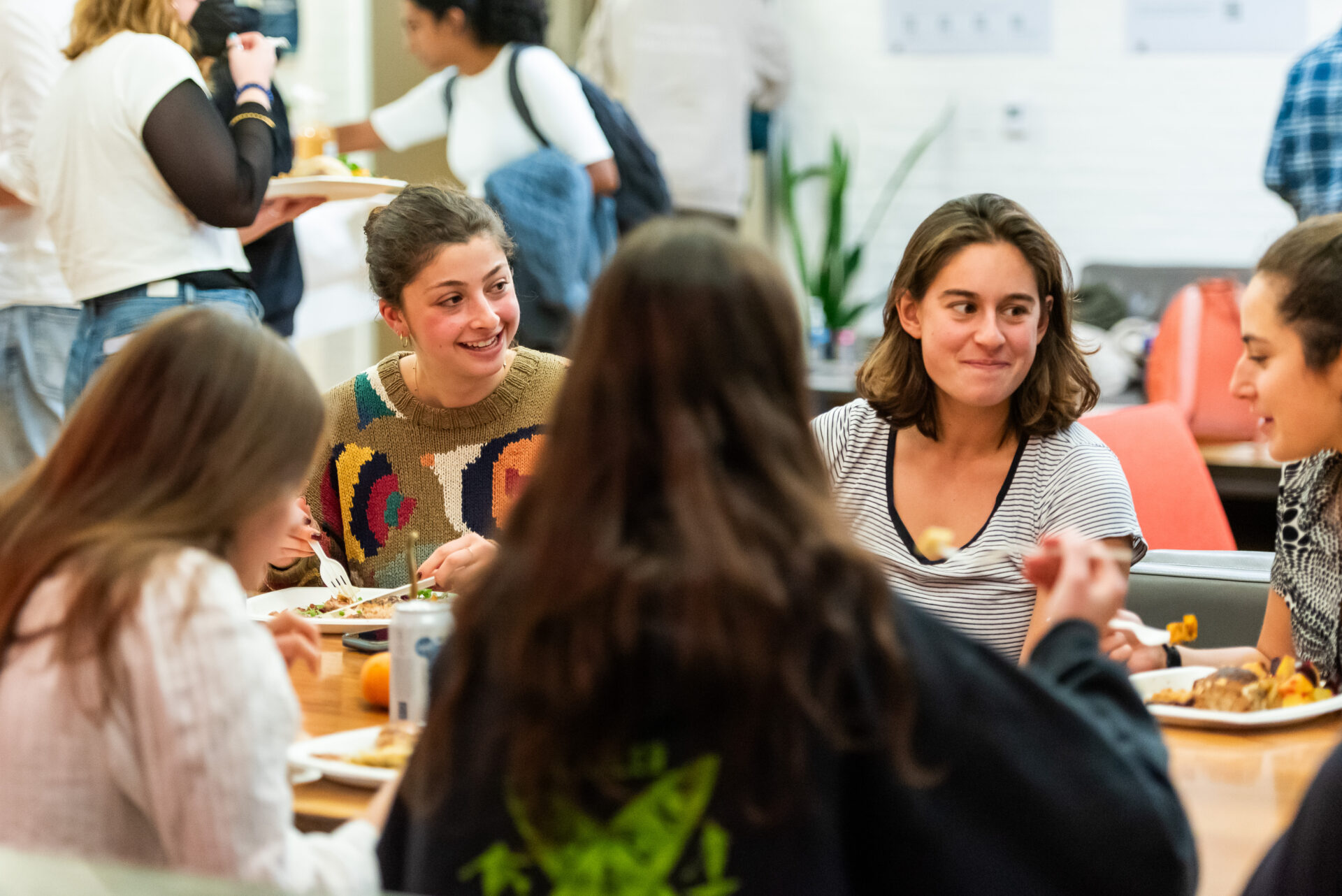 Summer Internships in Climate and Sustainability - The Salata Institute