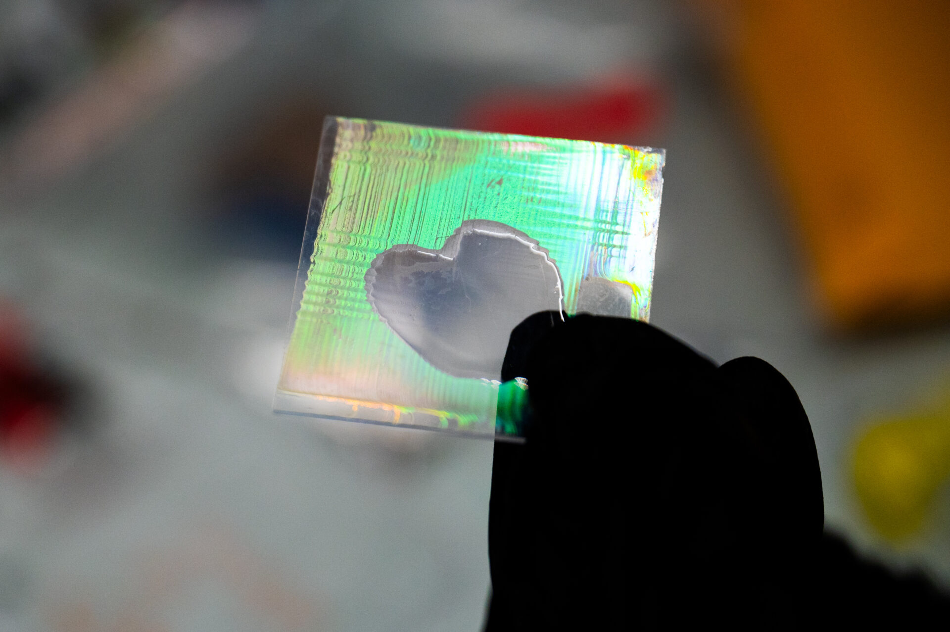 Seeking energy-efficient windows, Harvard lab finds inspiration in ...