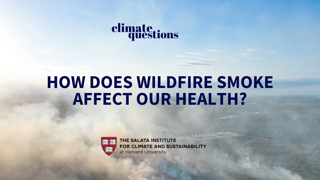 Climate Questions: What does wildfire smoke mean for our health? - The ...