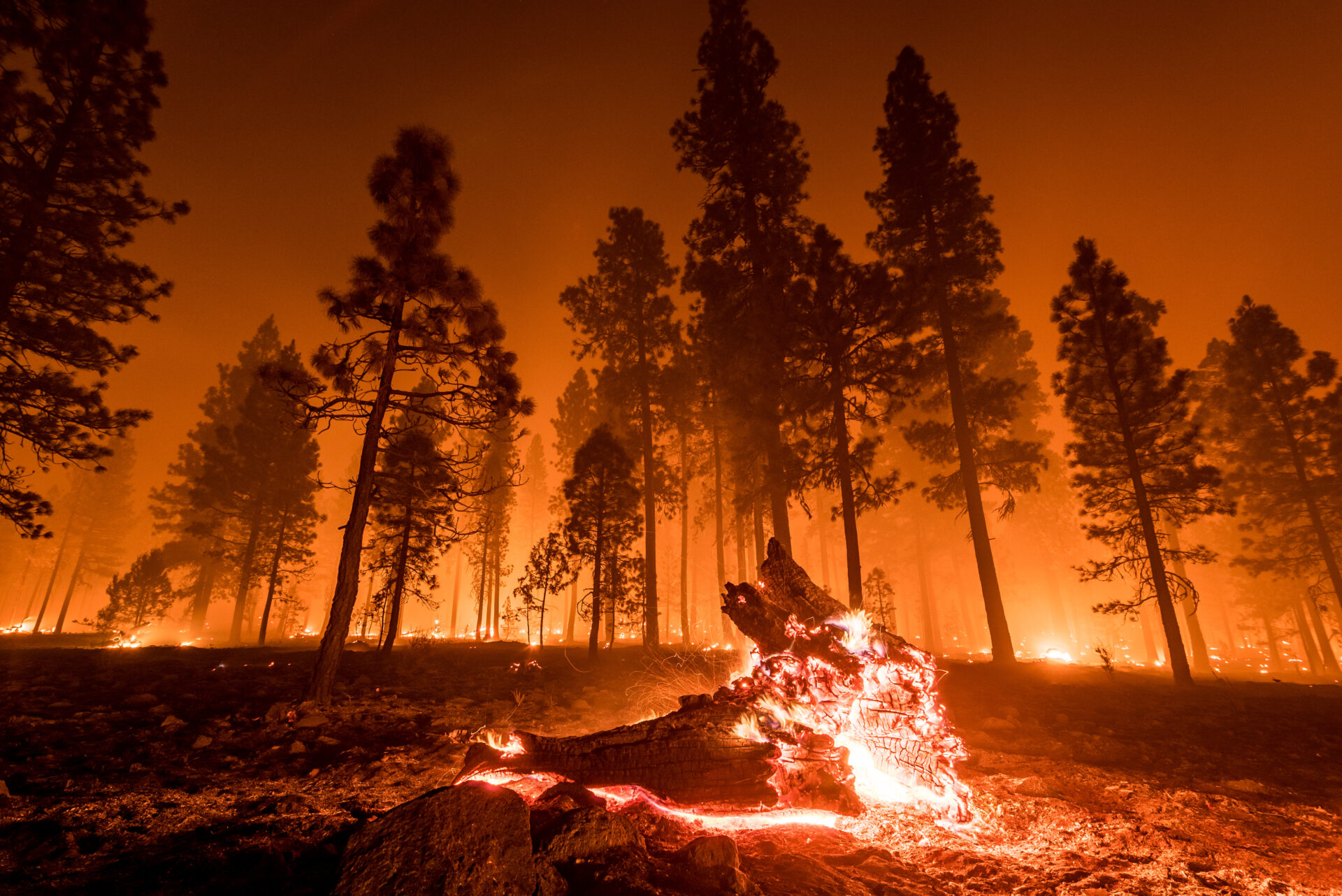 How exposure to wildfire smoke impacts human health now, soon, and ...