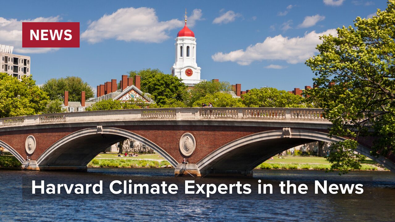 Shift Key | Jody Freeman on the Clean Air Act and what happens next ...